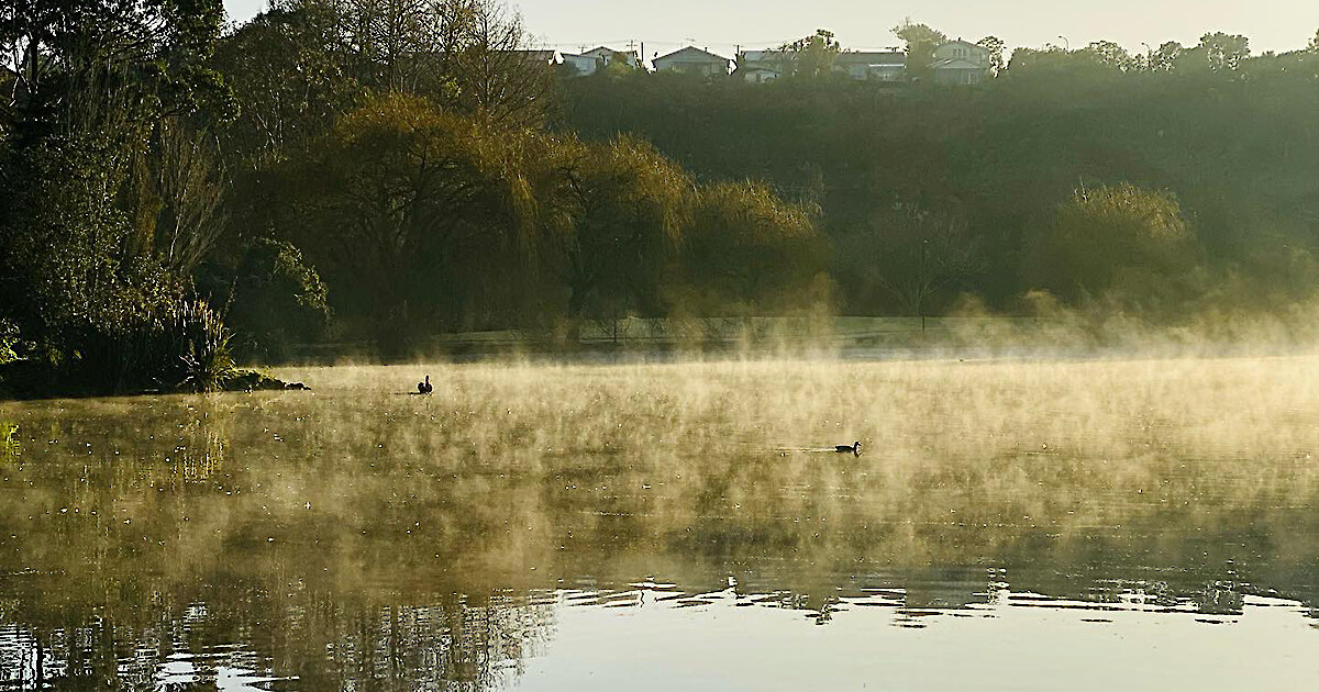 Te Wai Ōrea / Western Springs wetland walk, with Ben Goodwin • Urban ...